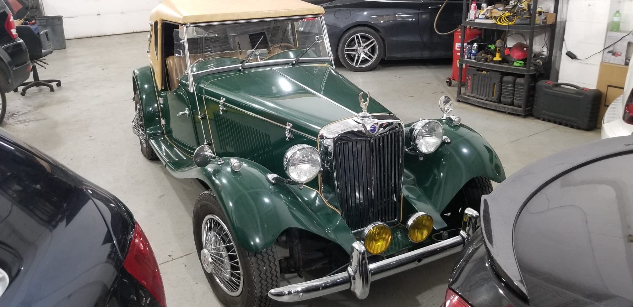 Gallery - Motorhead Speed Shop Car Repair, Parts & More